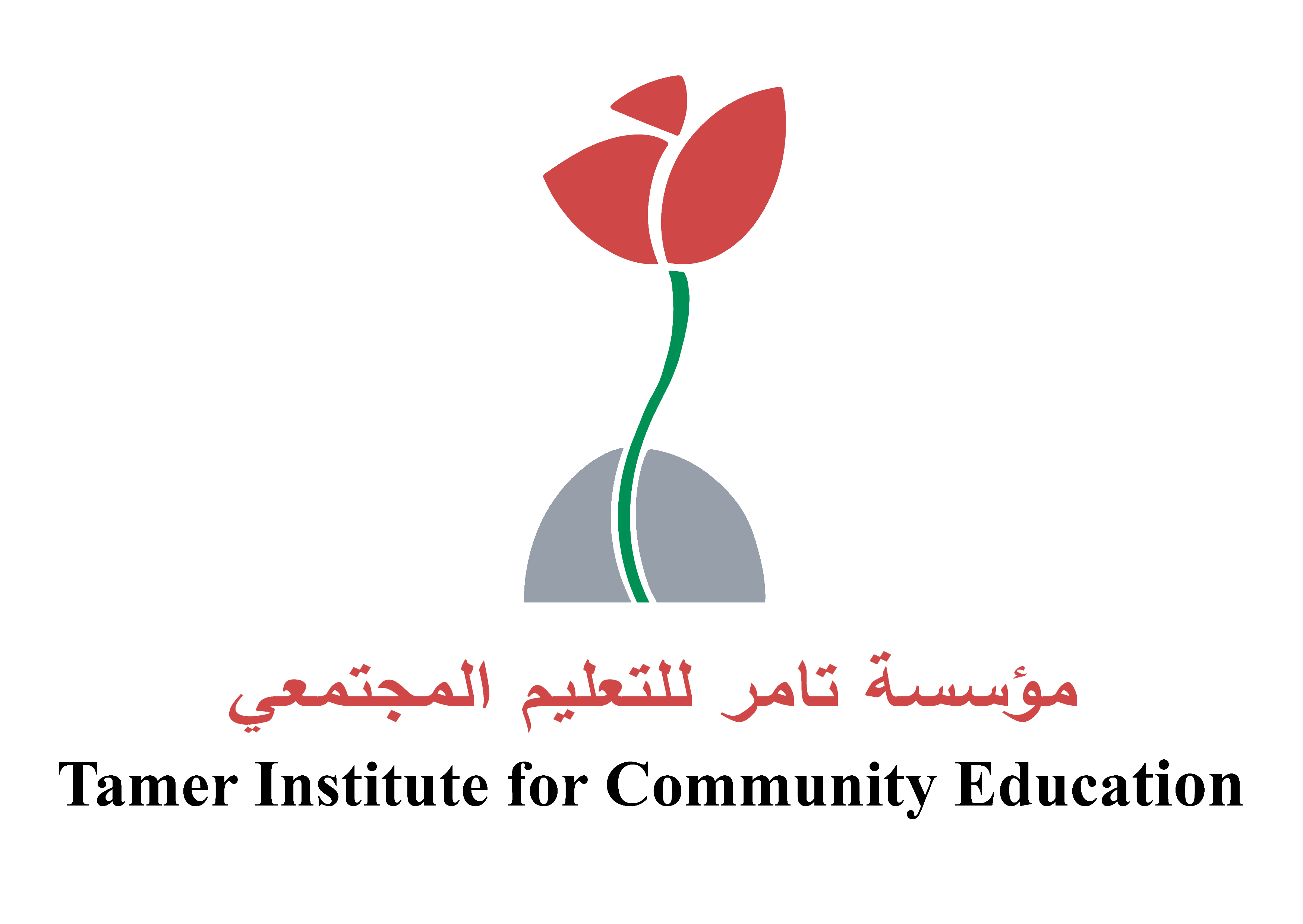 Tamer Institute for Community Education